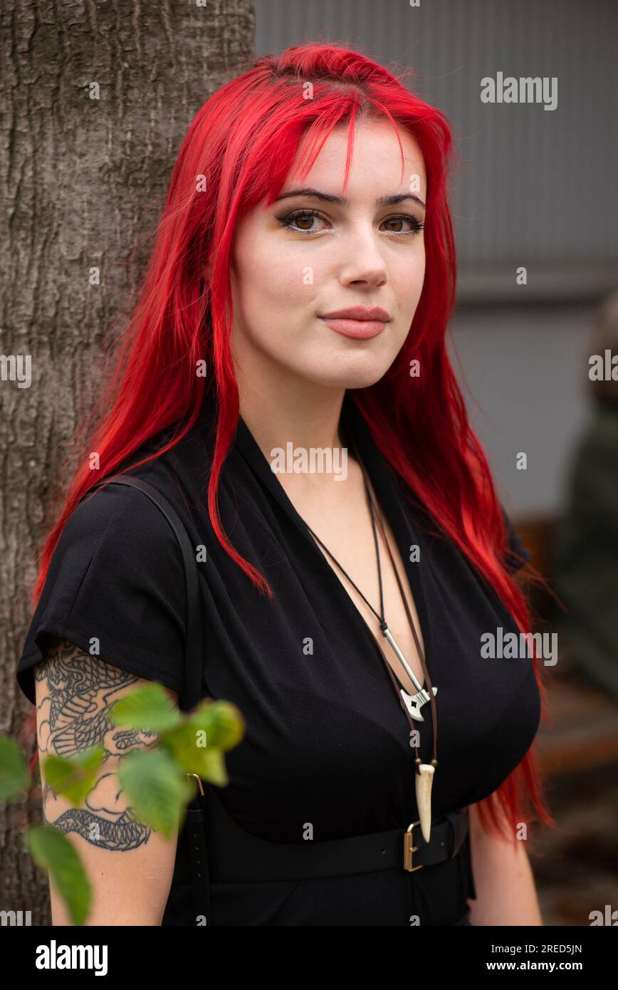 Solomonica de winter hi-res stock photography and images - Alamy