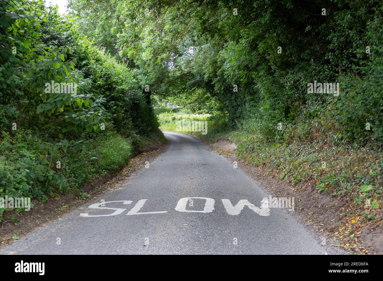 Norfolk, UK. A slow sign on a tree lined country lane. Horizontal ...