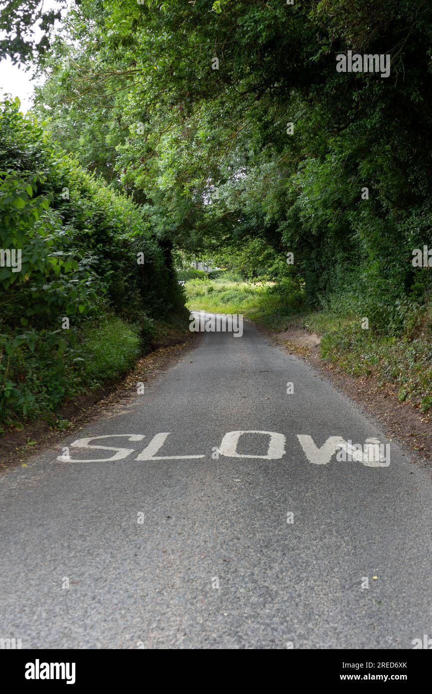 Norfolk, UK. A slow sign on a tree lined country lane. Vertical ...