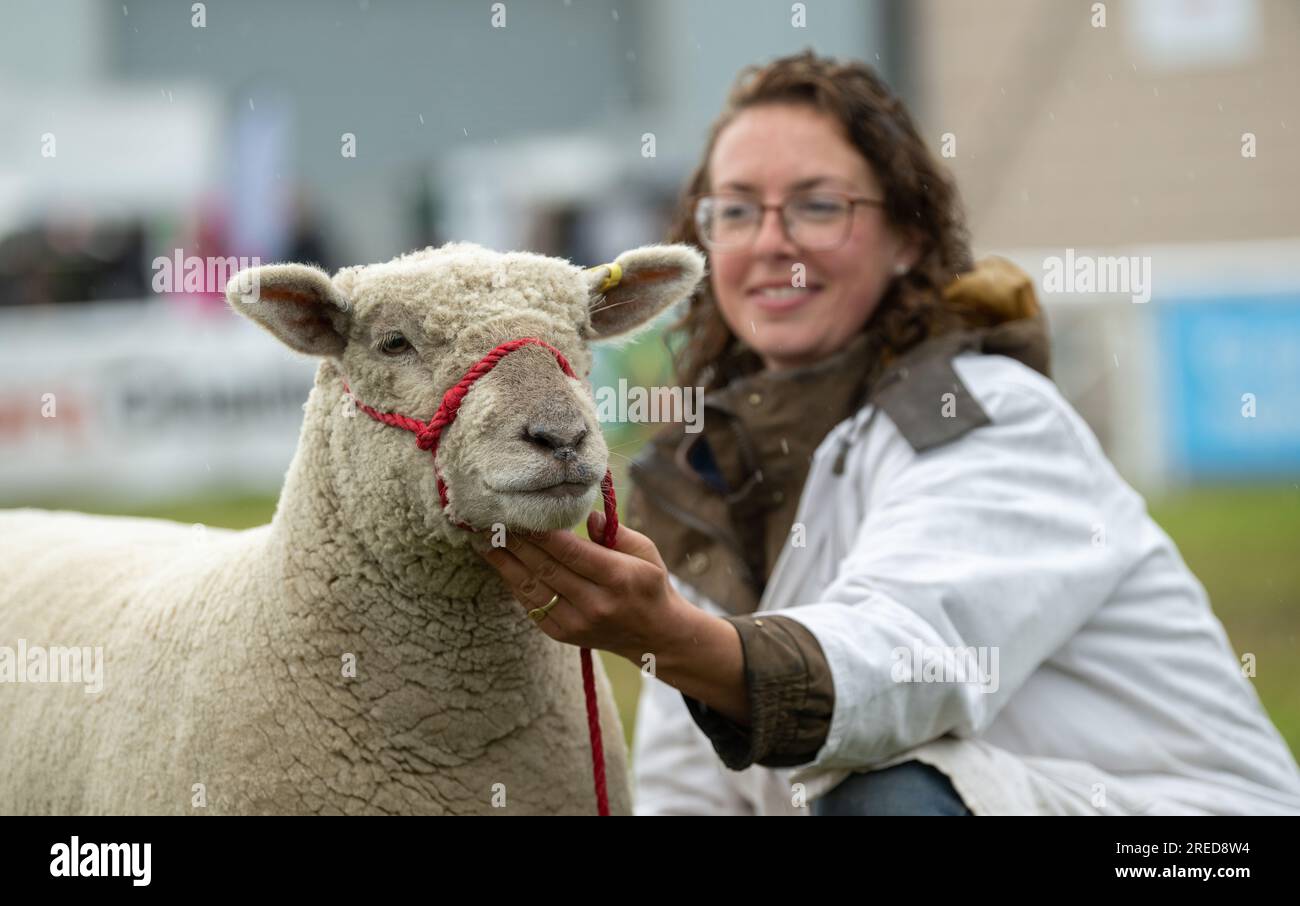Farmers showing their sheep in the rain at the Royal Welsh Show 2023 ...