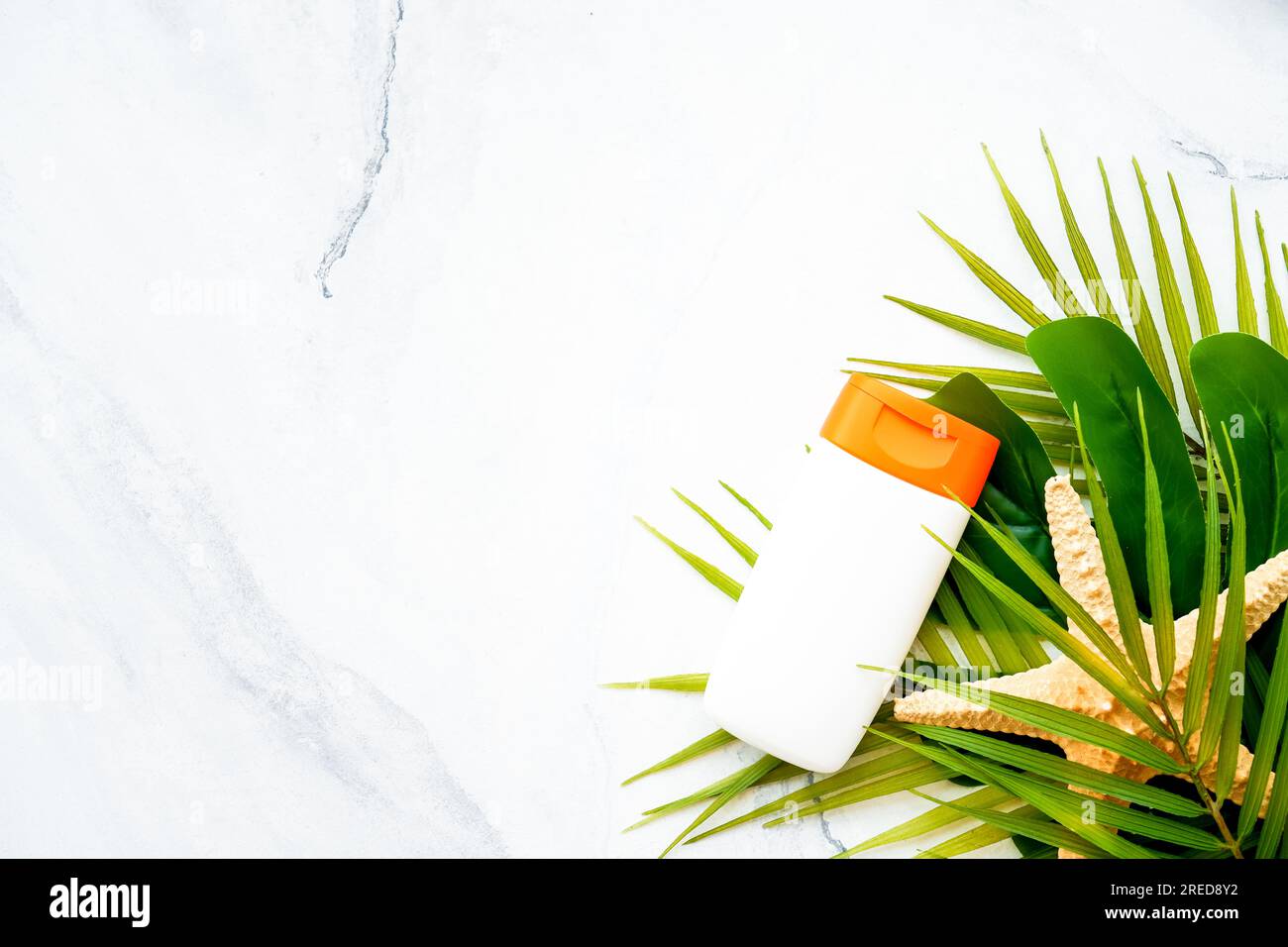 Shell on beach green screen hi-res stock photography and images - Alamy