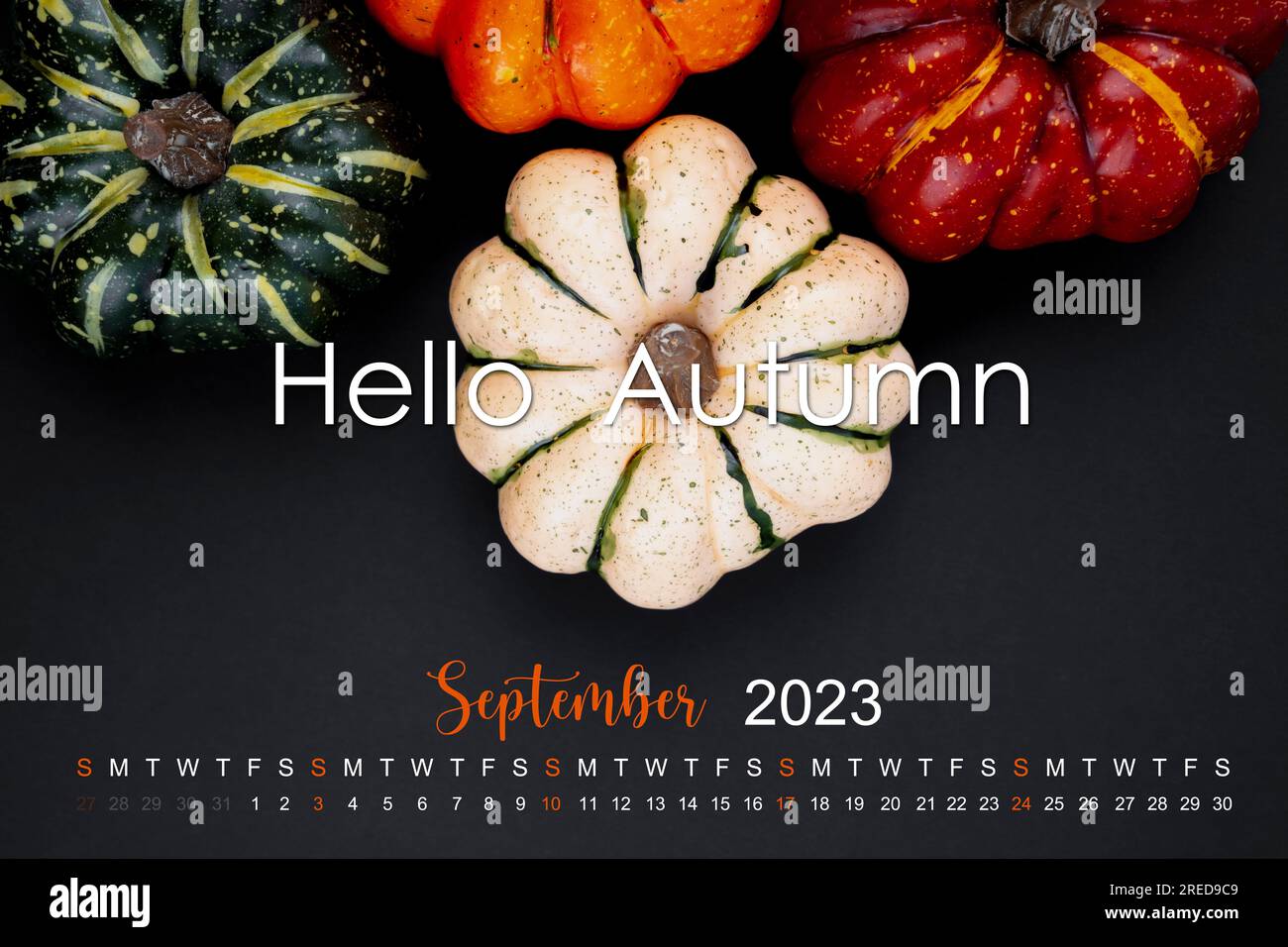 Hello Autumn on September 2023 calendar and pumpkins on black cardboard ...