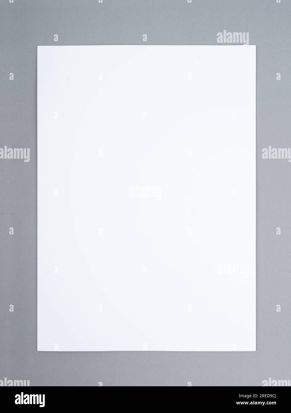 Blank white a4 size paper on grey background, Empty space for your ...