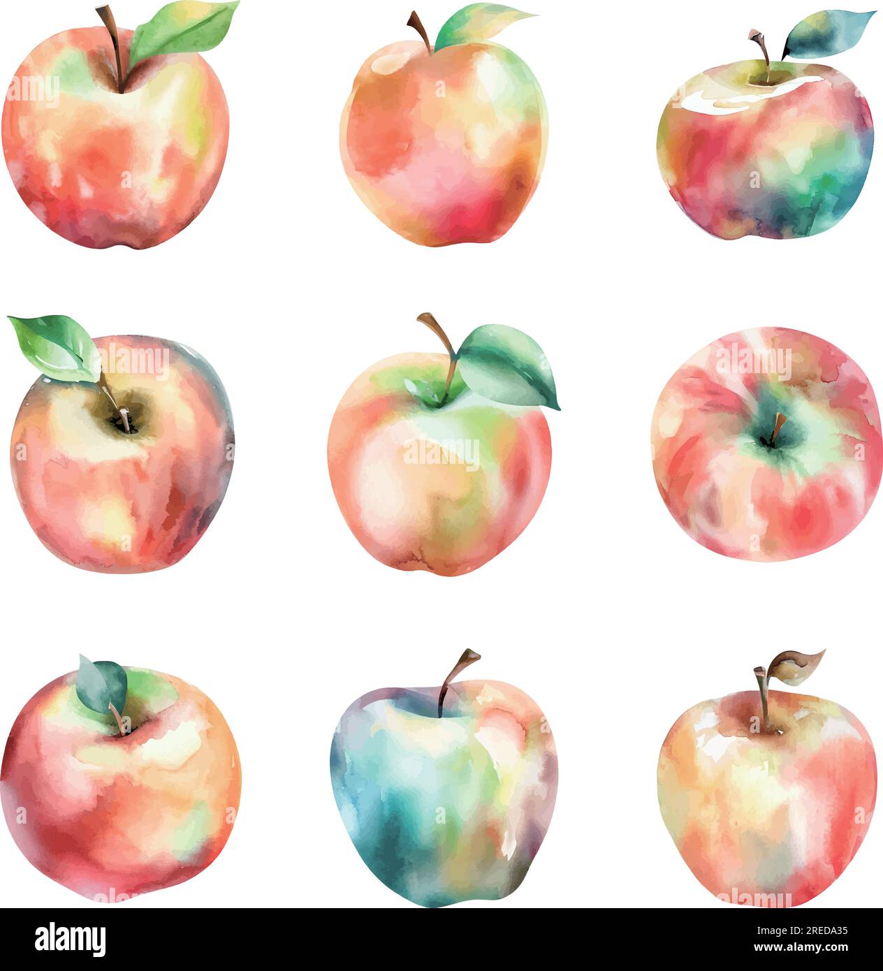 Watercolor apple set. Hand drawn illustration isolated on white ...