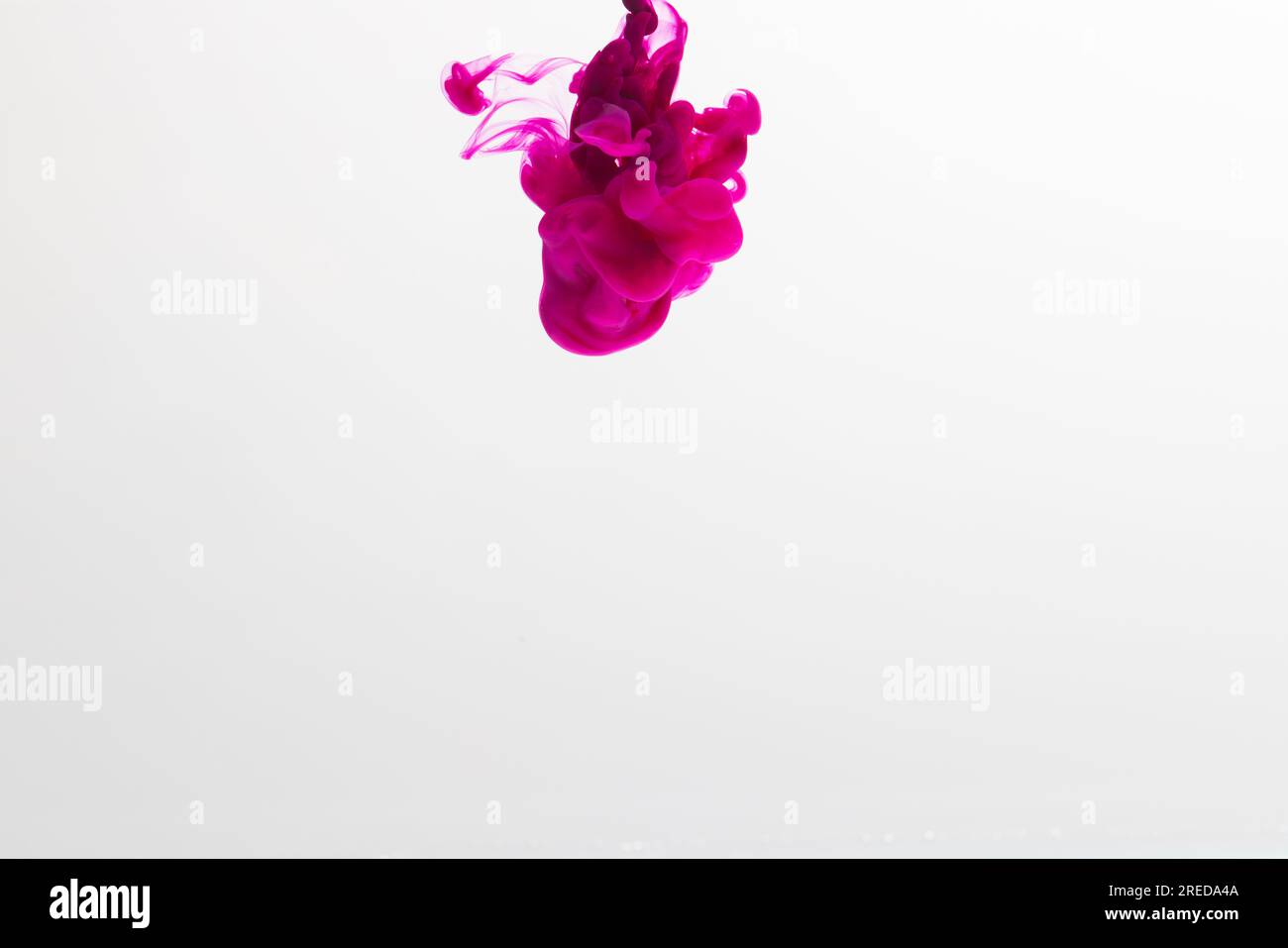 Close up of pink ink in water with copy space on white background Stock ...