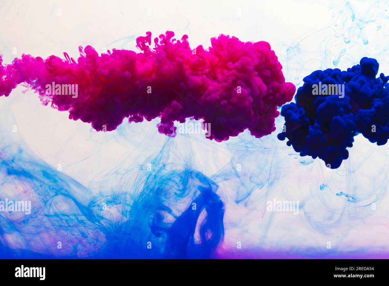 Close up of blue and pink ink in water with copy space on white ...