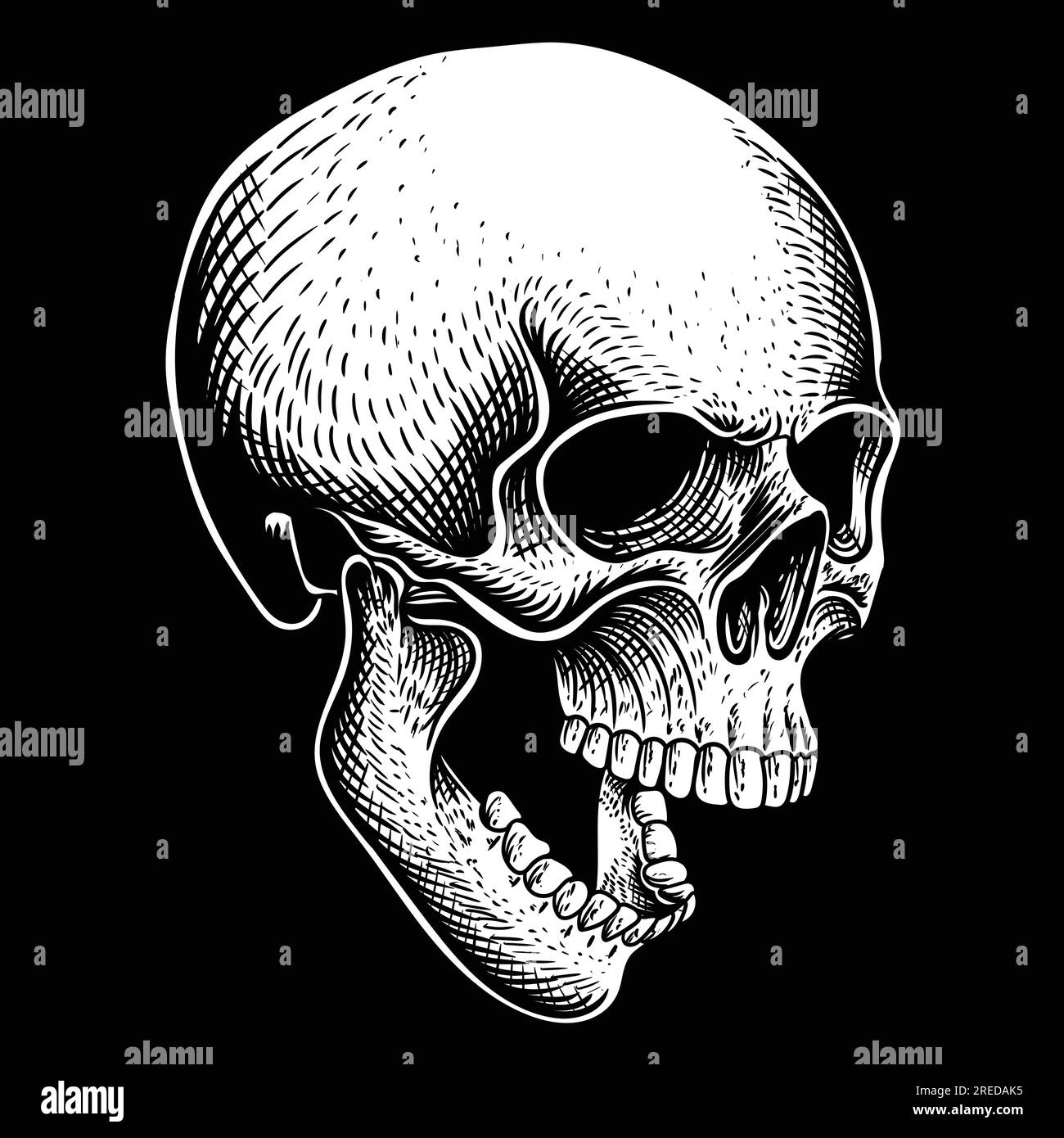 Position of teeth Black and White Stock Photos & Images - Alamy