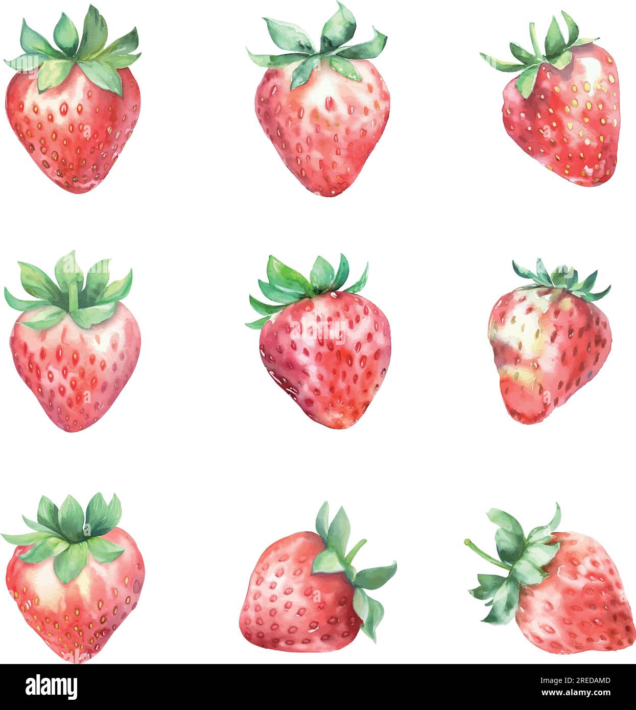 Set of watercolor strawberries. Hand drawn illustration isolated on ...
