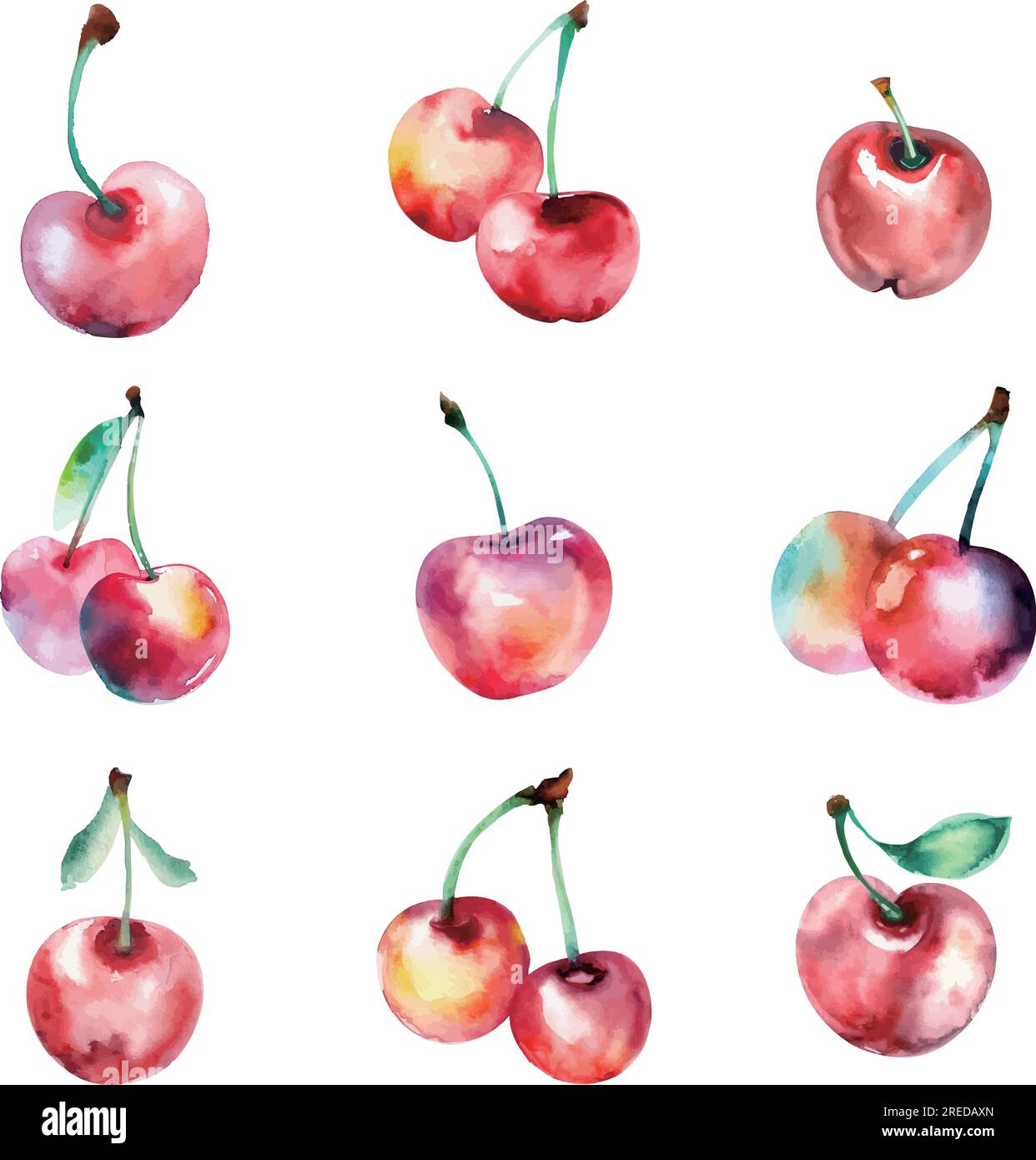 Watercolor cherry set. Hand drawn illustration isolated on white ...