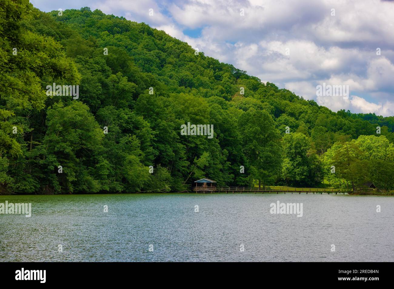 Landscape view of the lake under cloudy skies at Steel Creek Park in ...