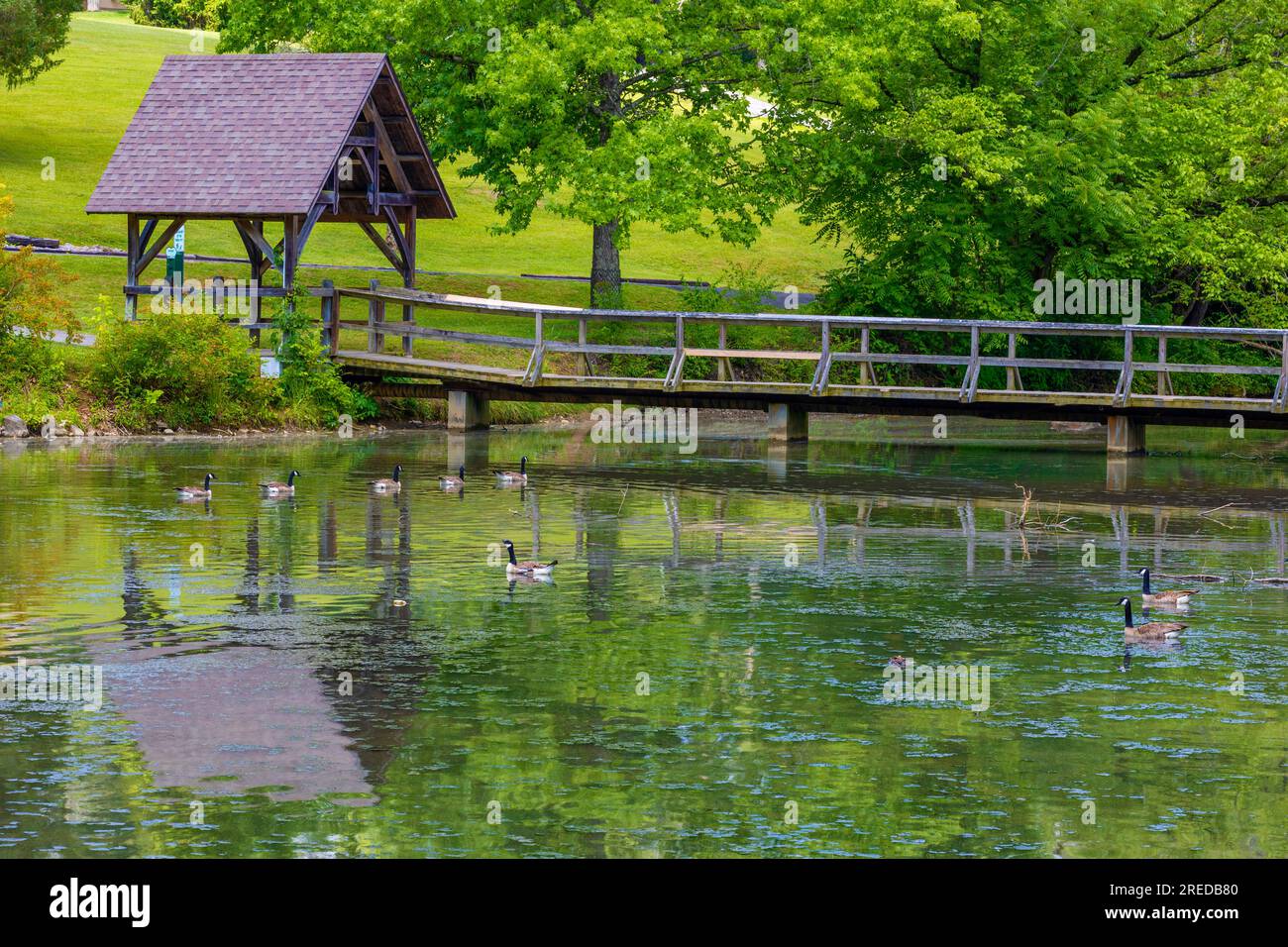 A foot bridge crossing over the lake at Steele Creek Park in Bristol ...