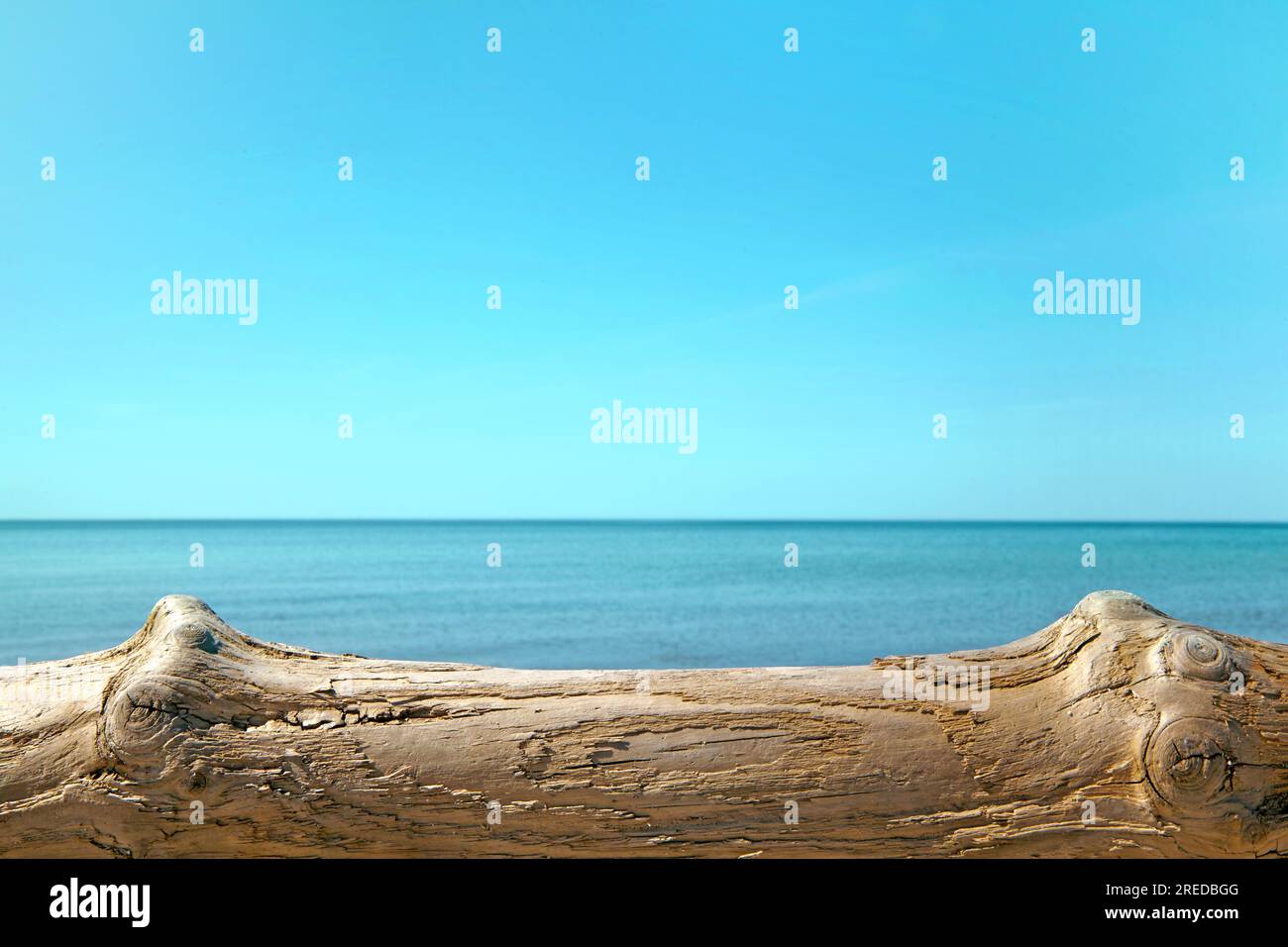 Wooden surface of weathered tree trunk on shore of beautiful turquoise ...