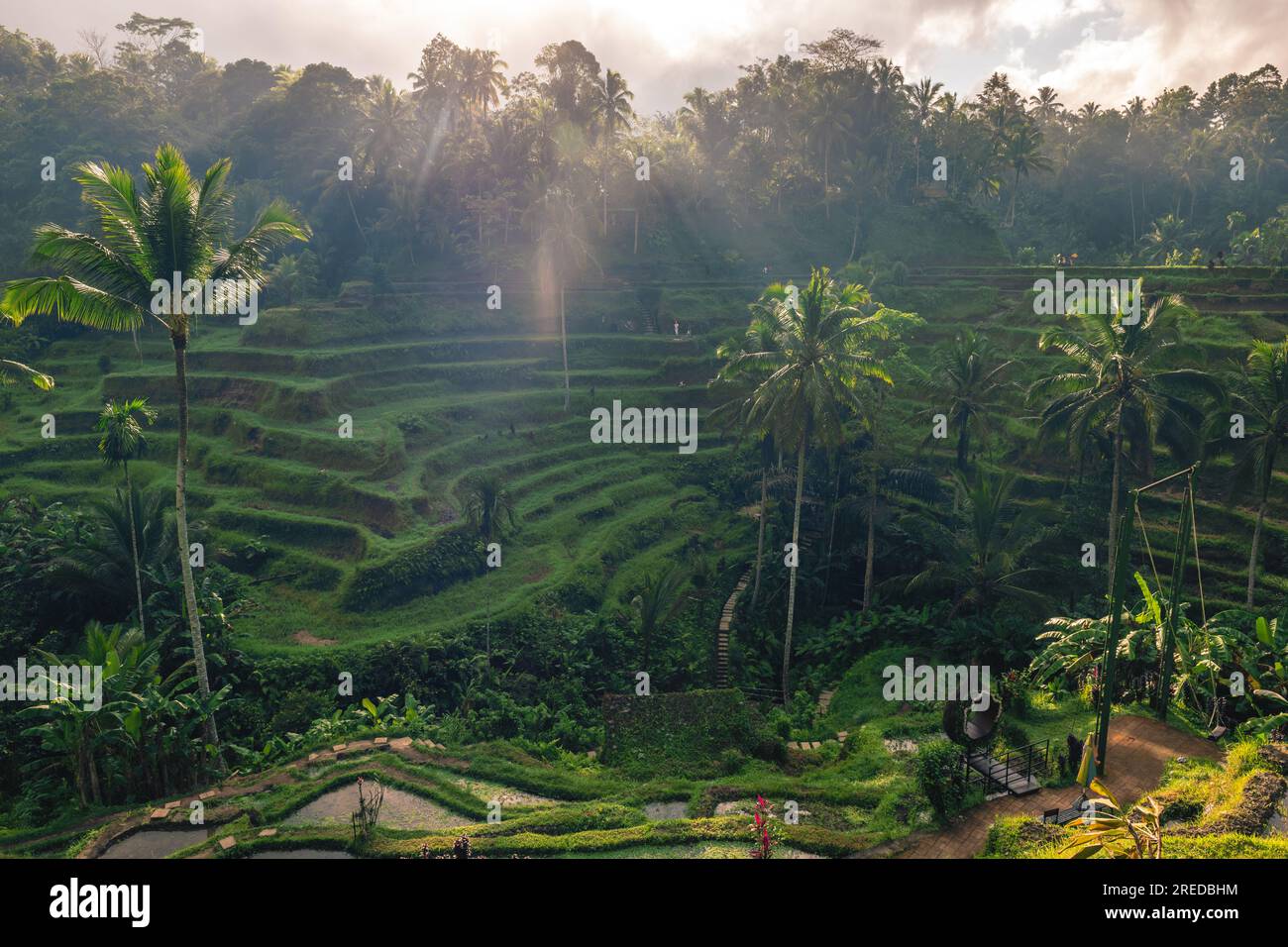 Rice terrace aerial hi-res stock photography and images - Alamy