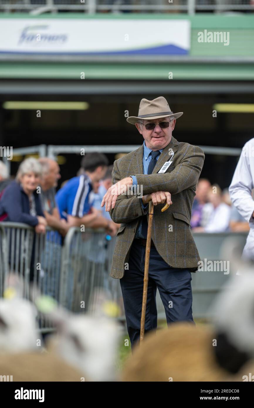 Showing sheep at the Royal Welsh Show in Bulith Wells, 2023 Stock Photo ...