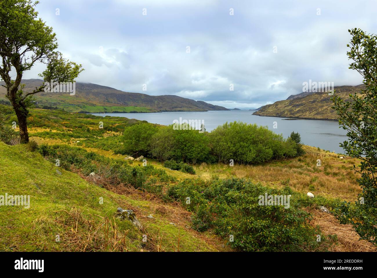 Mussel farming in Killary Fjord, or a.k.a. Killary Harbour, situated in ...