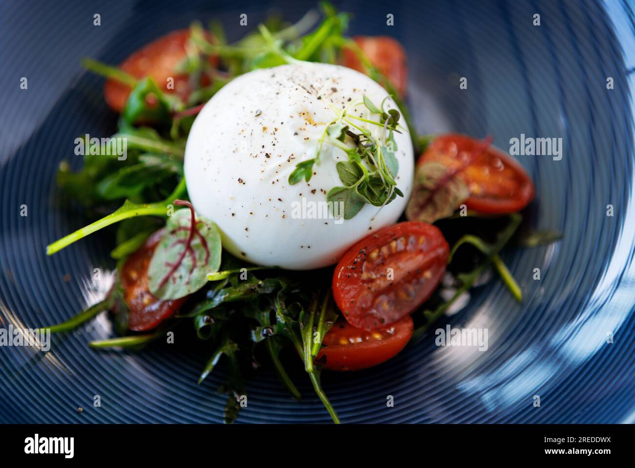 Burrata with paprika-truffle jam and cherry-cluster tomato salad ...