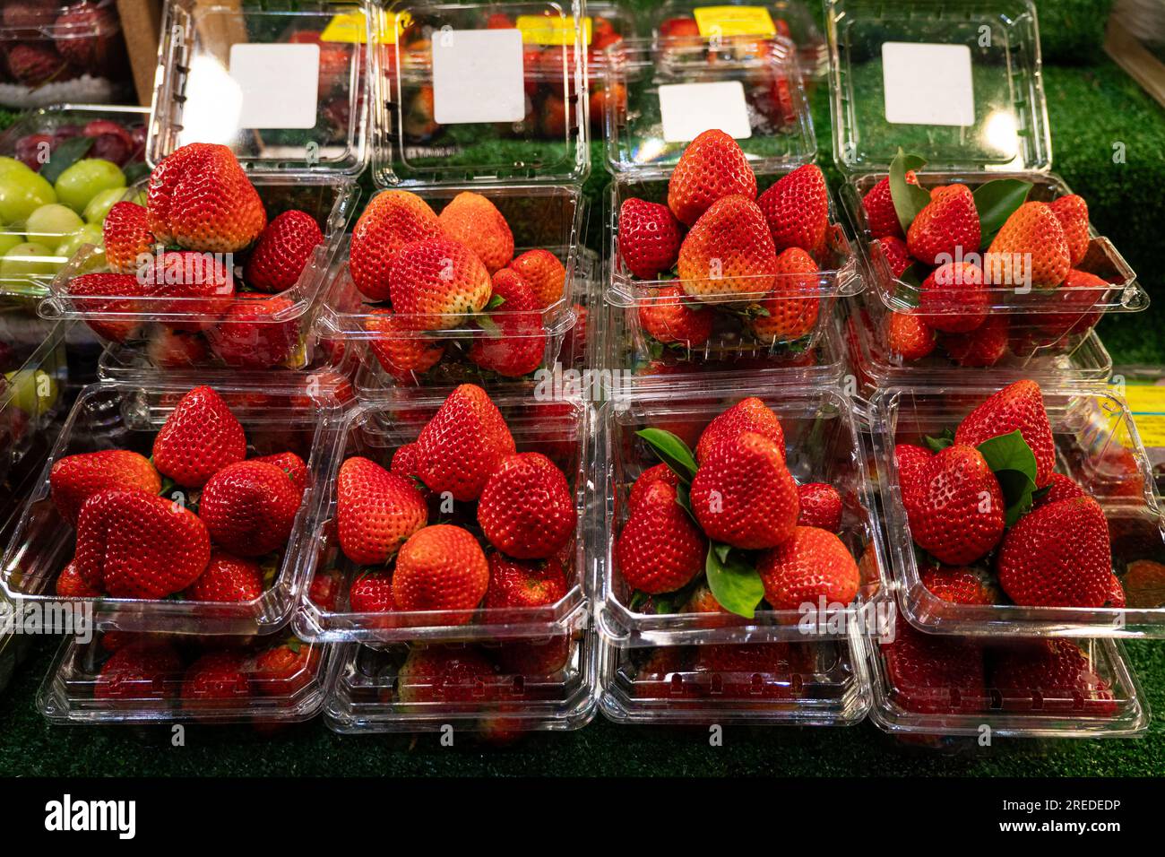 Punnet of strawberries in plastic containers for sale at a local market ...