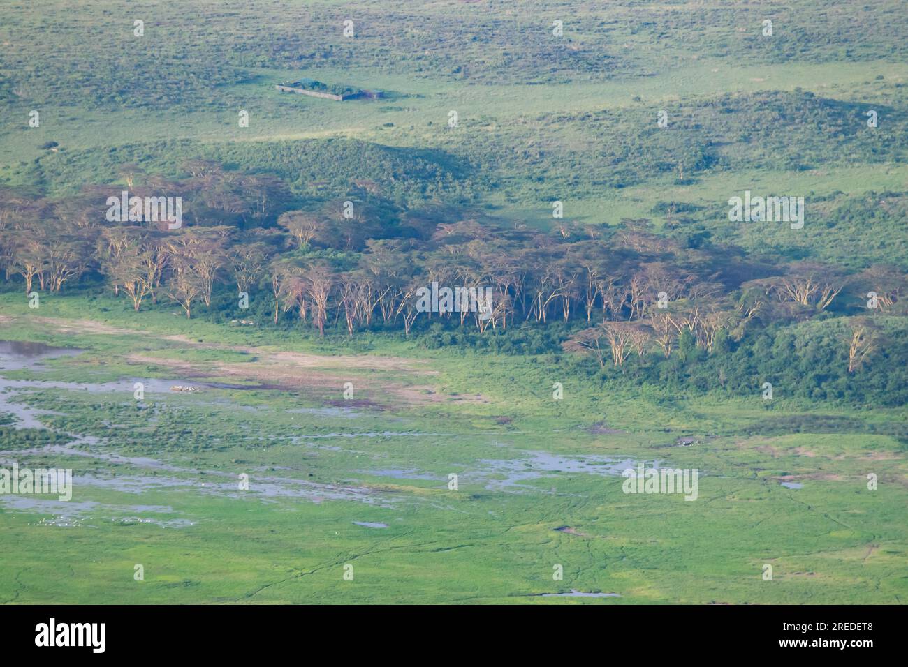 African Safari Landscape Stock Photo - Alamy