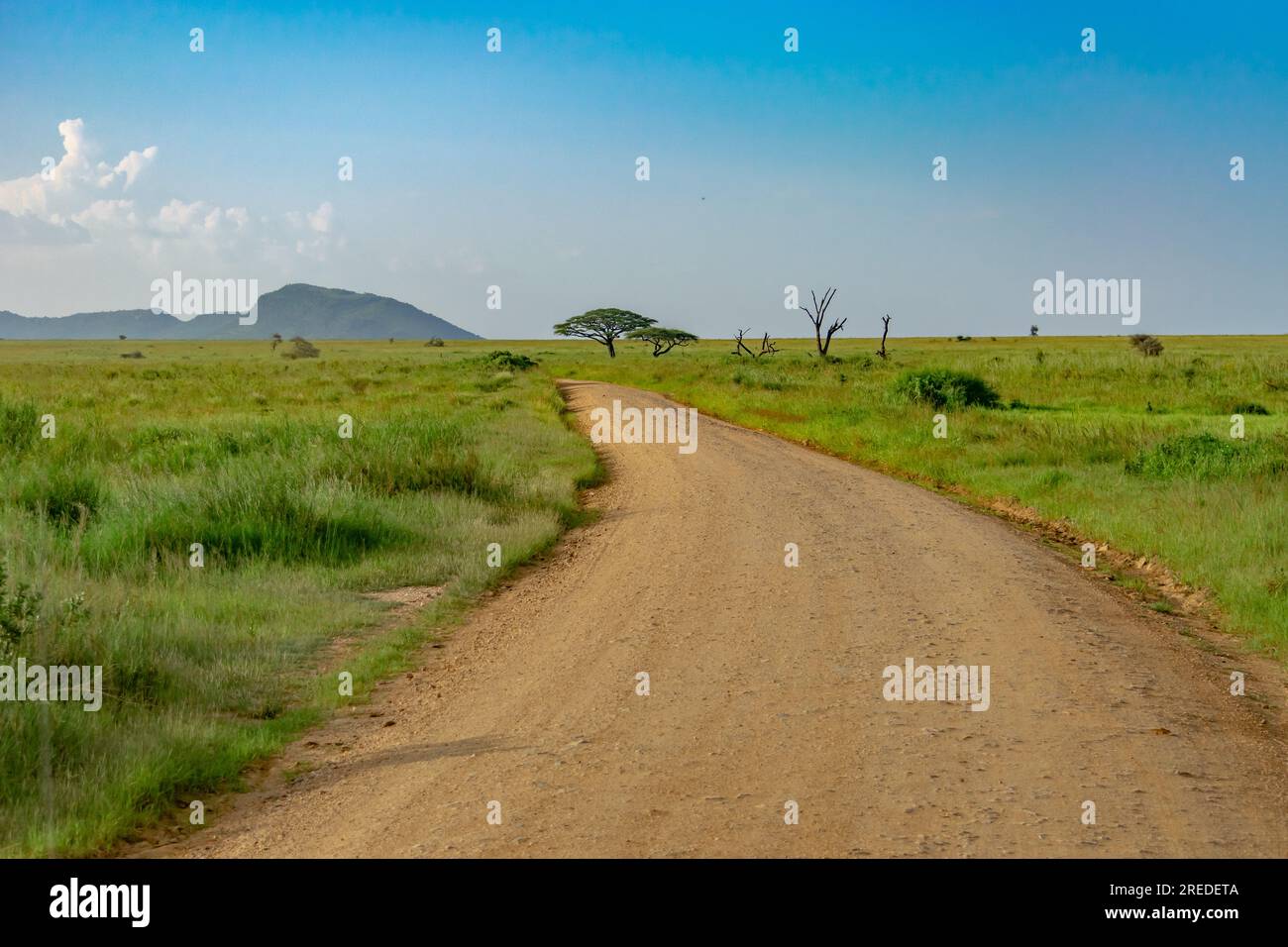 African Safari Landscape Stock Photo - Alamy