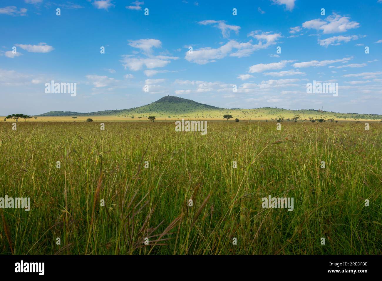 African Safari Landscape Stock Photo - Alamy
