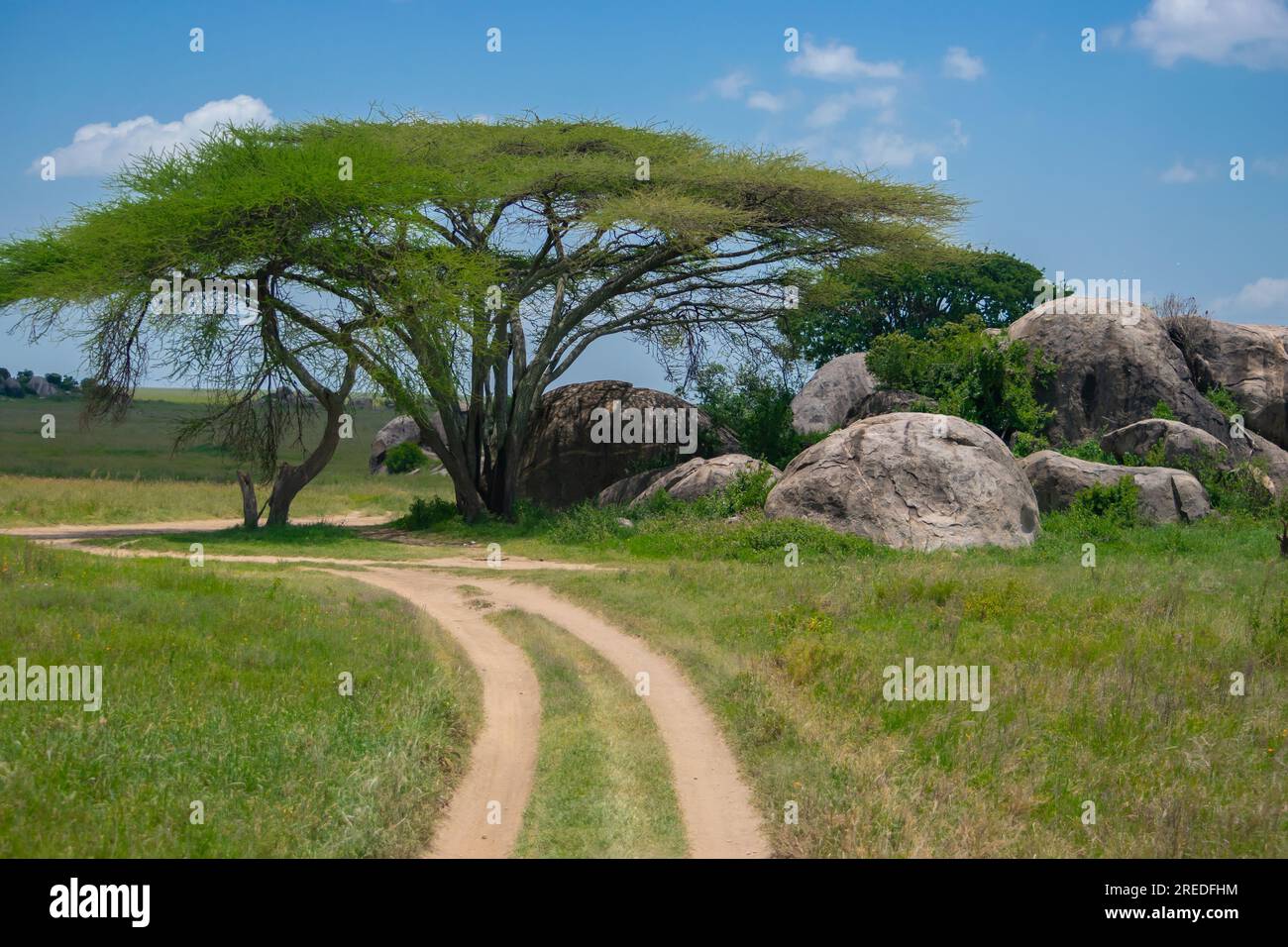Route of African Safari Stock Photo - Alamy