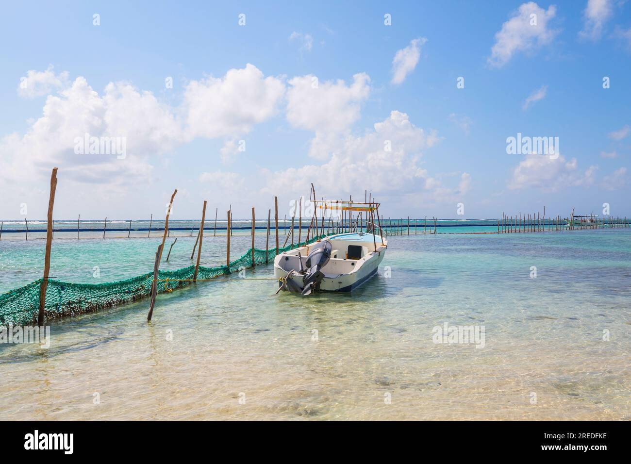 The fishing boats in Mexico Stock Photo - Alamy