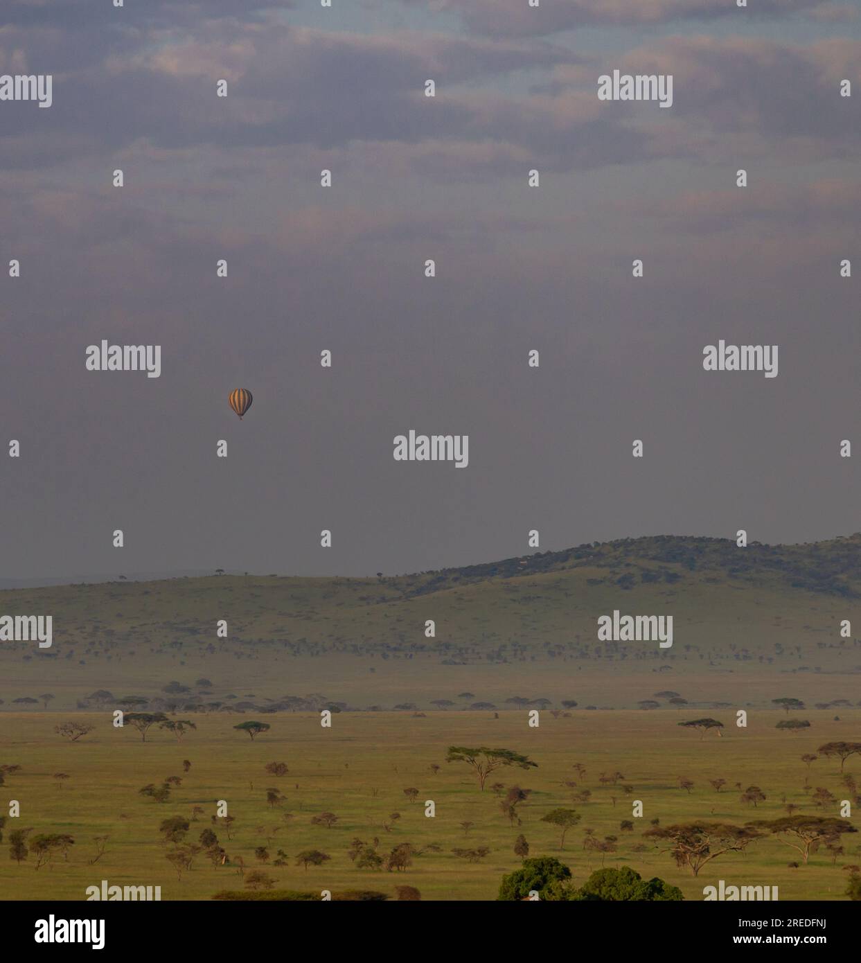 Serengity national park hi-res stock photography and images - Alamy