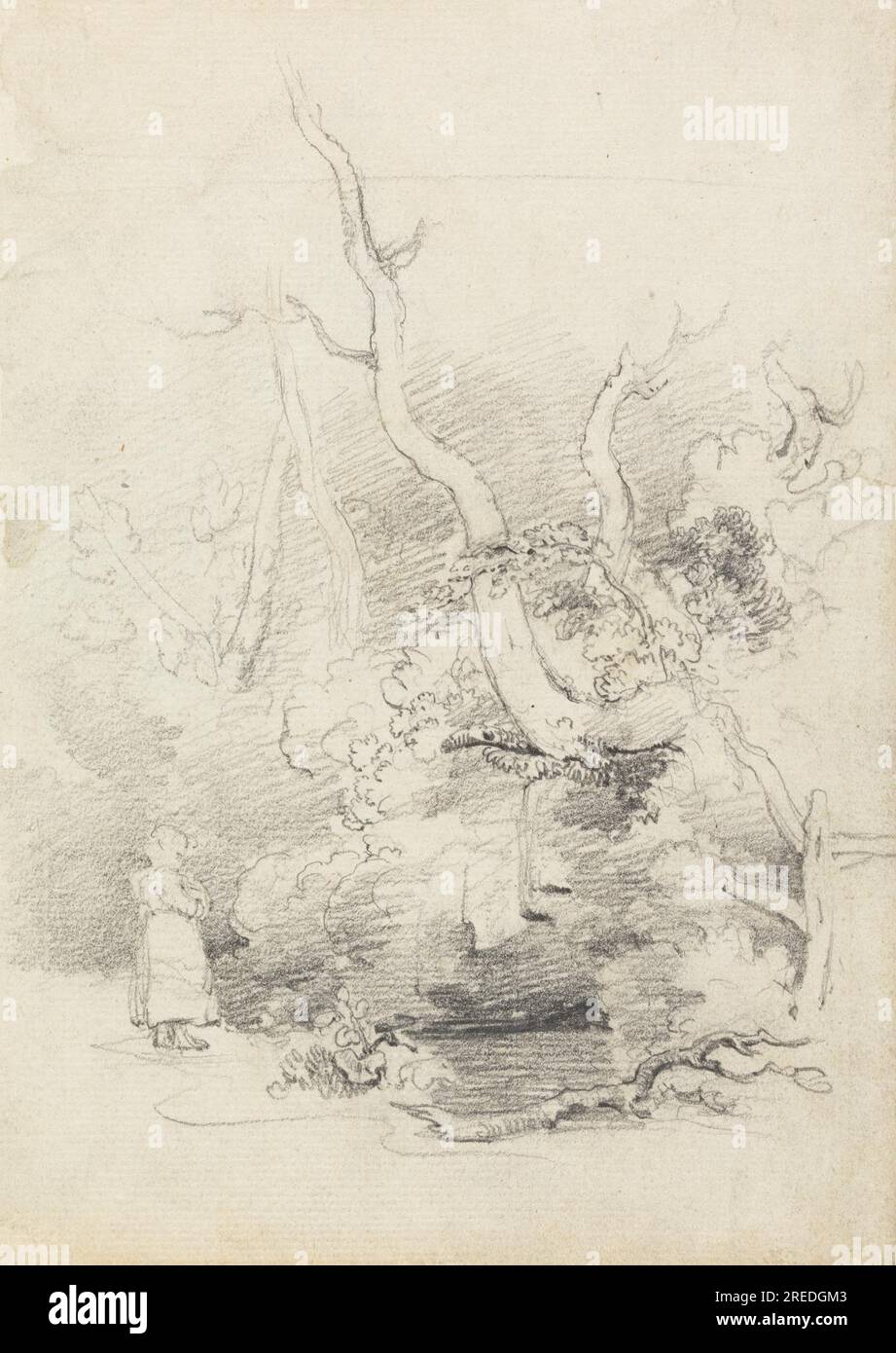 Tree Study by Cornelius Varley Stock Photo - Alamy