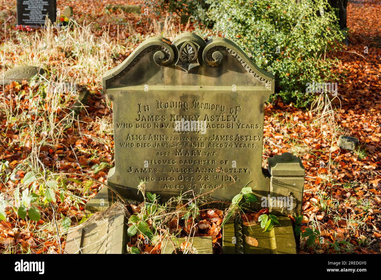 Alice ann astley hi-res stock photography and images - Alamy