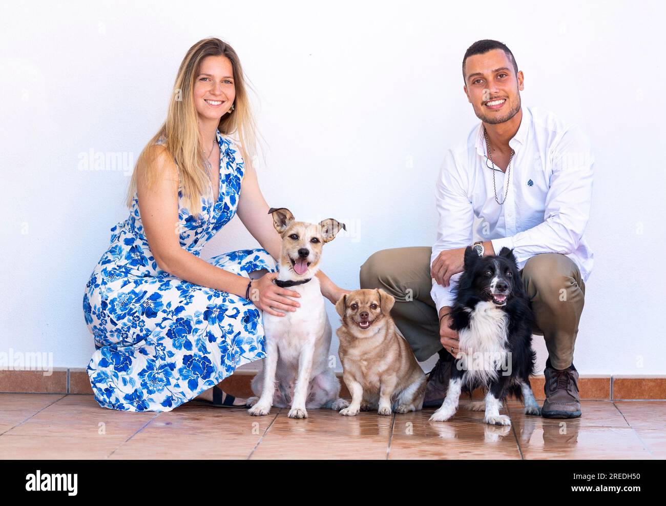 Husband and wife with three puppy dogs over a white background Stock ...