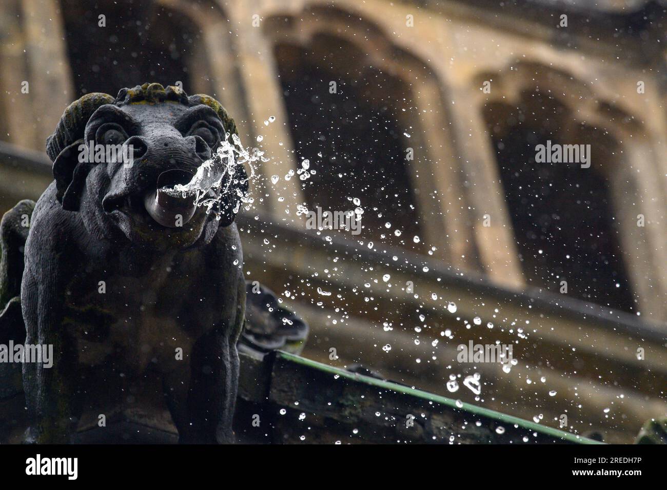 Rainwater gargoyle hi-res stock photography and images - Alamy