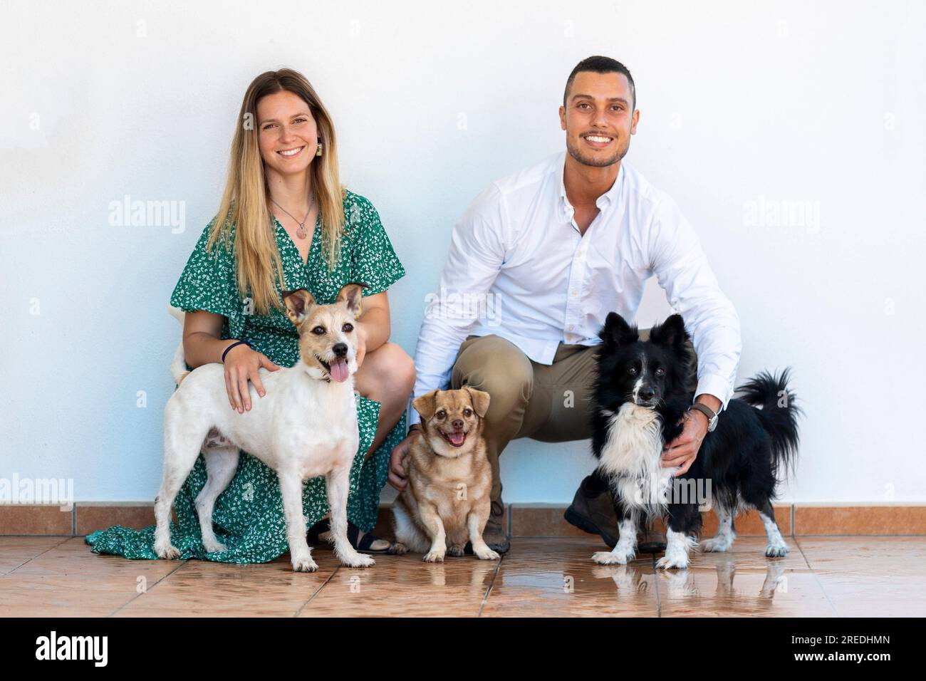 Husband and wife with three puppy dogs over a white background Stock ...