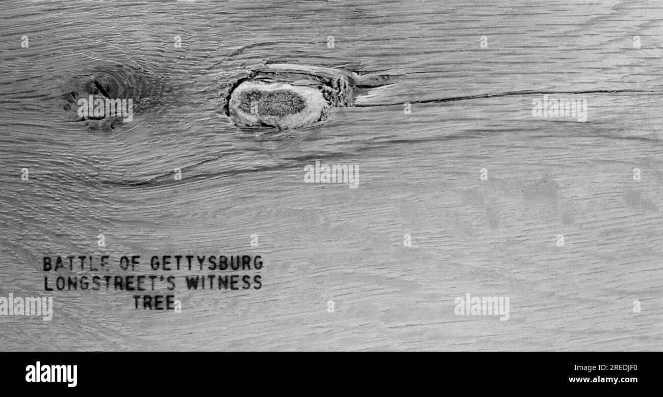 Bullet in wood from the historic Gen. James Longstreet witness tree ...