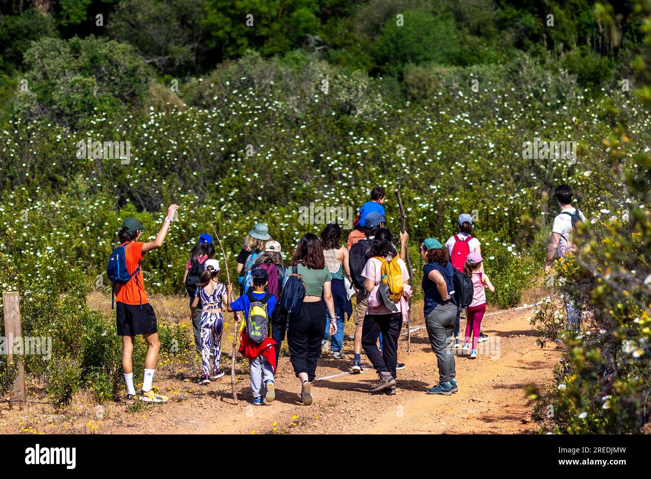 Close view of a Group of hikers walking on nature Stock Photo - Alamy