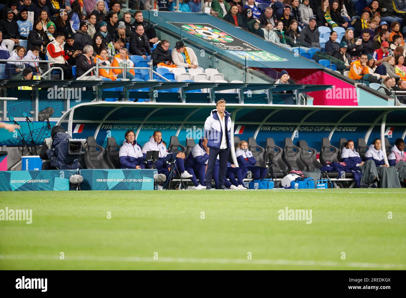 Head Coach of France Herve Renard seen in action during the match ...