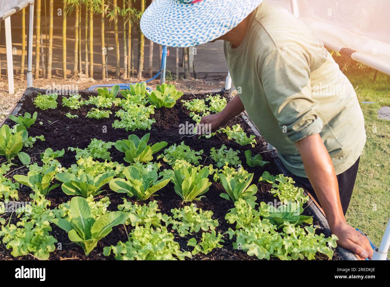 Hand of male farmer using a food fork to shovel soil to cultivate ...