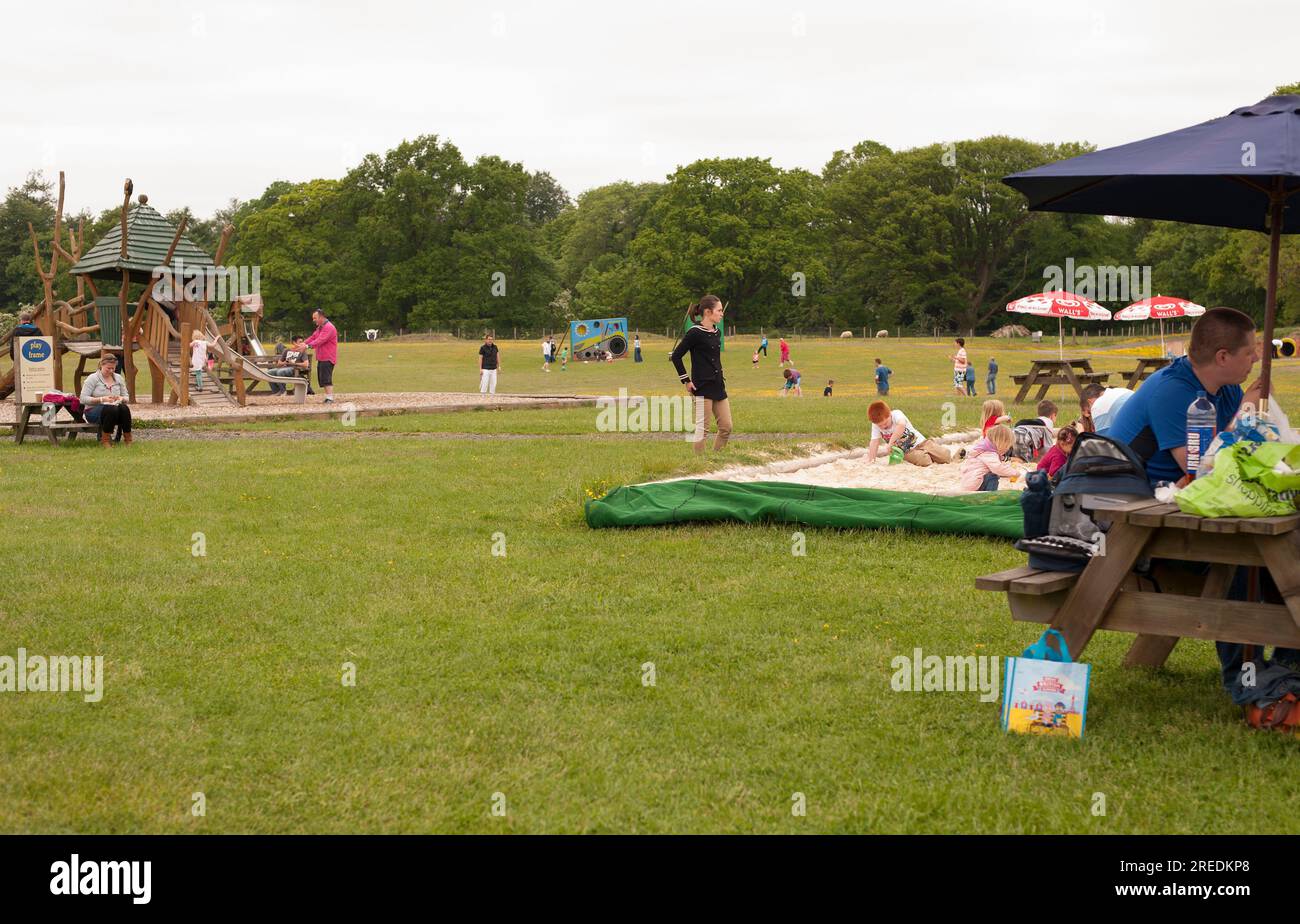Families play and picnic at Briarlands Farm family run for kids and ...