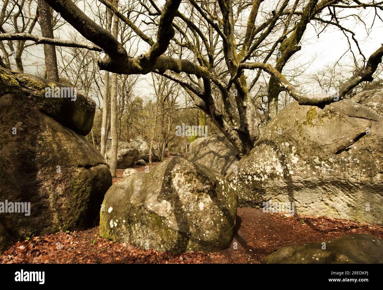 Fontainebleau boulders hi-res stock photography and images - Alamy