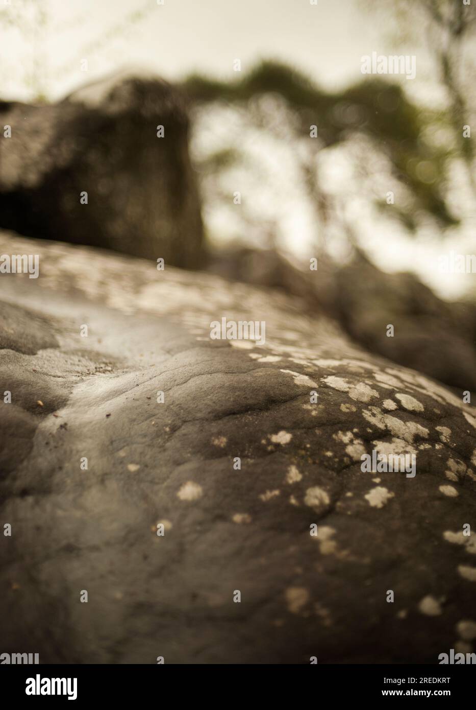 Rock rocks boulder boulders hi-res stock photography and images - Alamy