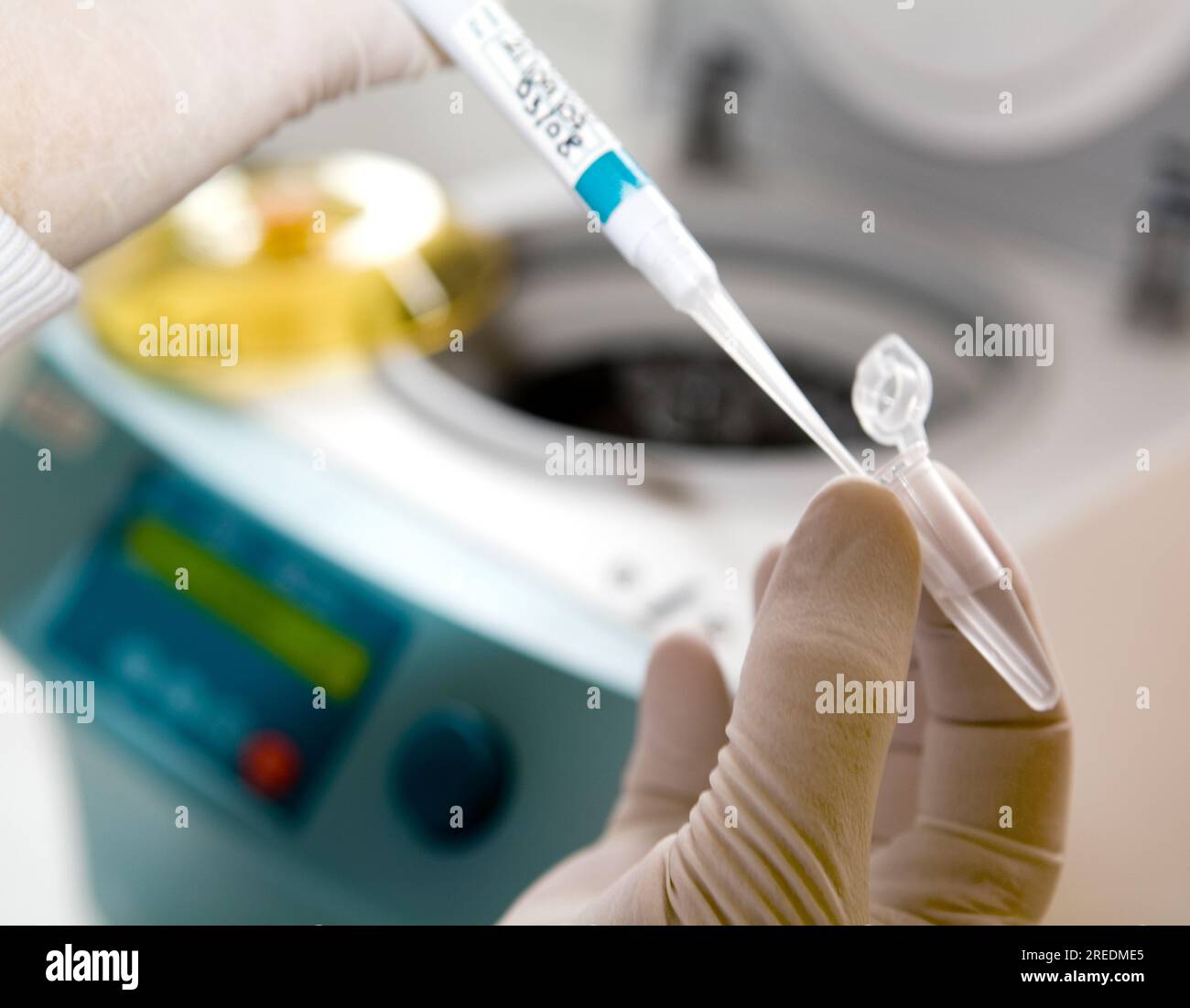 A scientist with white protective gloves uses a syringe to transfer ...
