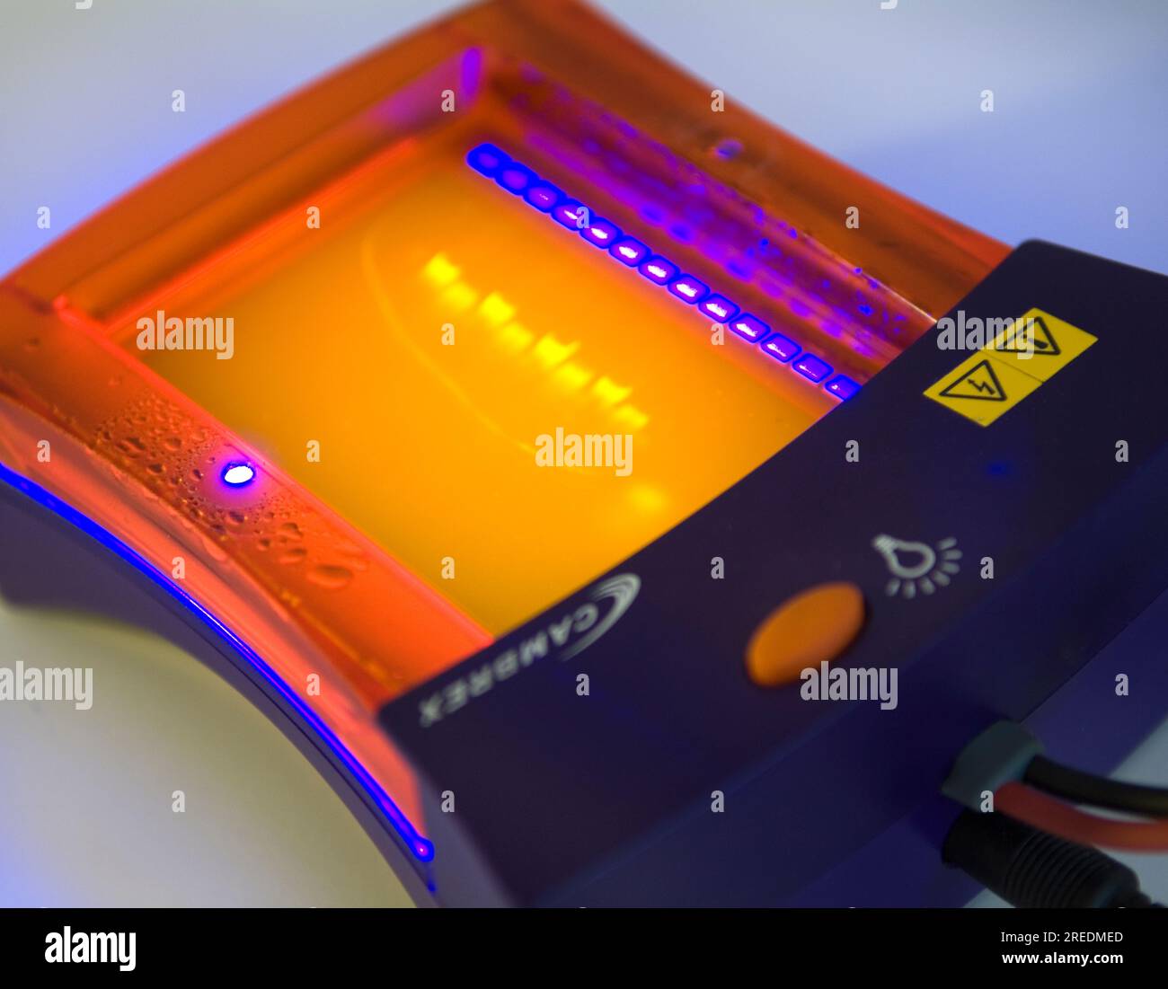 An orange blue and pink Cambrex electronic sample reader in a clean ...