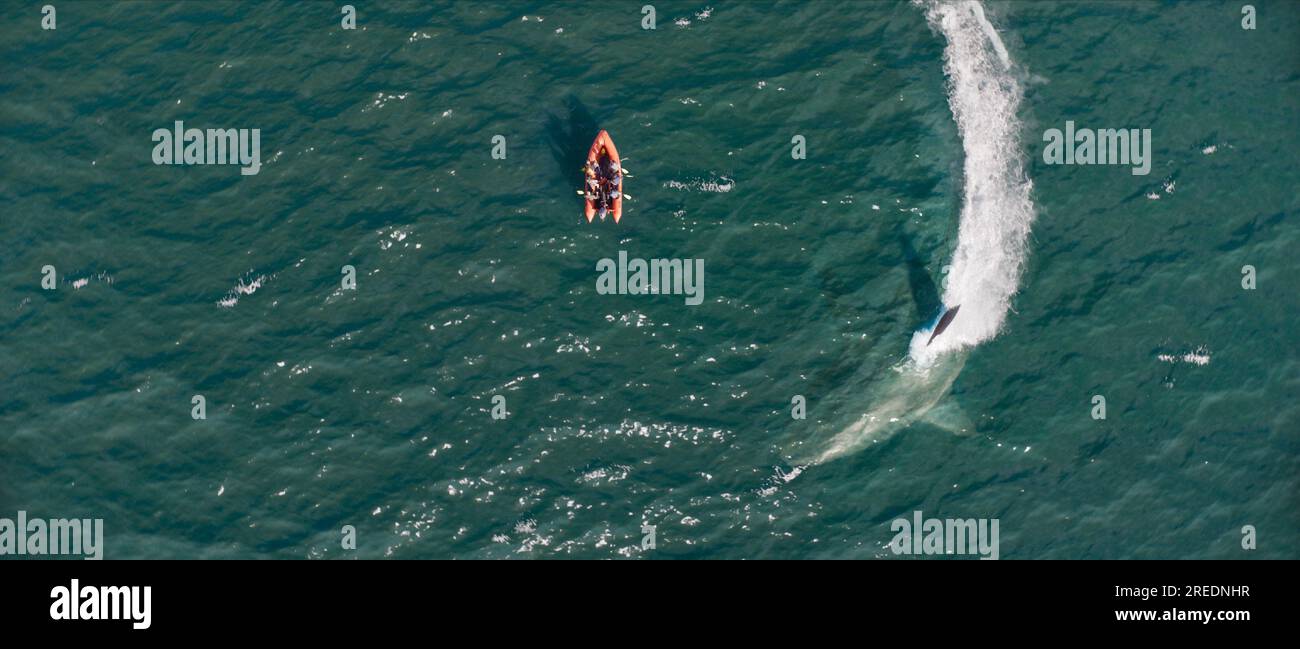 The meg 2 the trench hi-res stock photography and images - Alamy