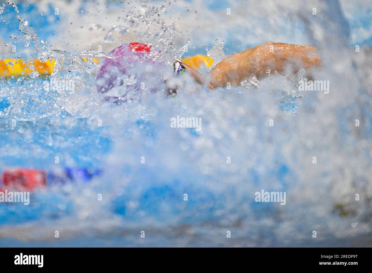 Pan zhanle hi-res stock photography and images - Alamy