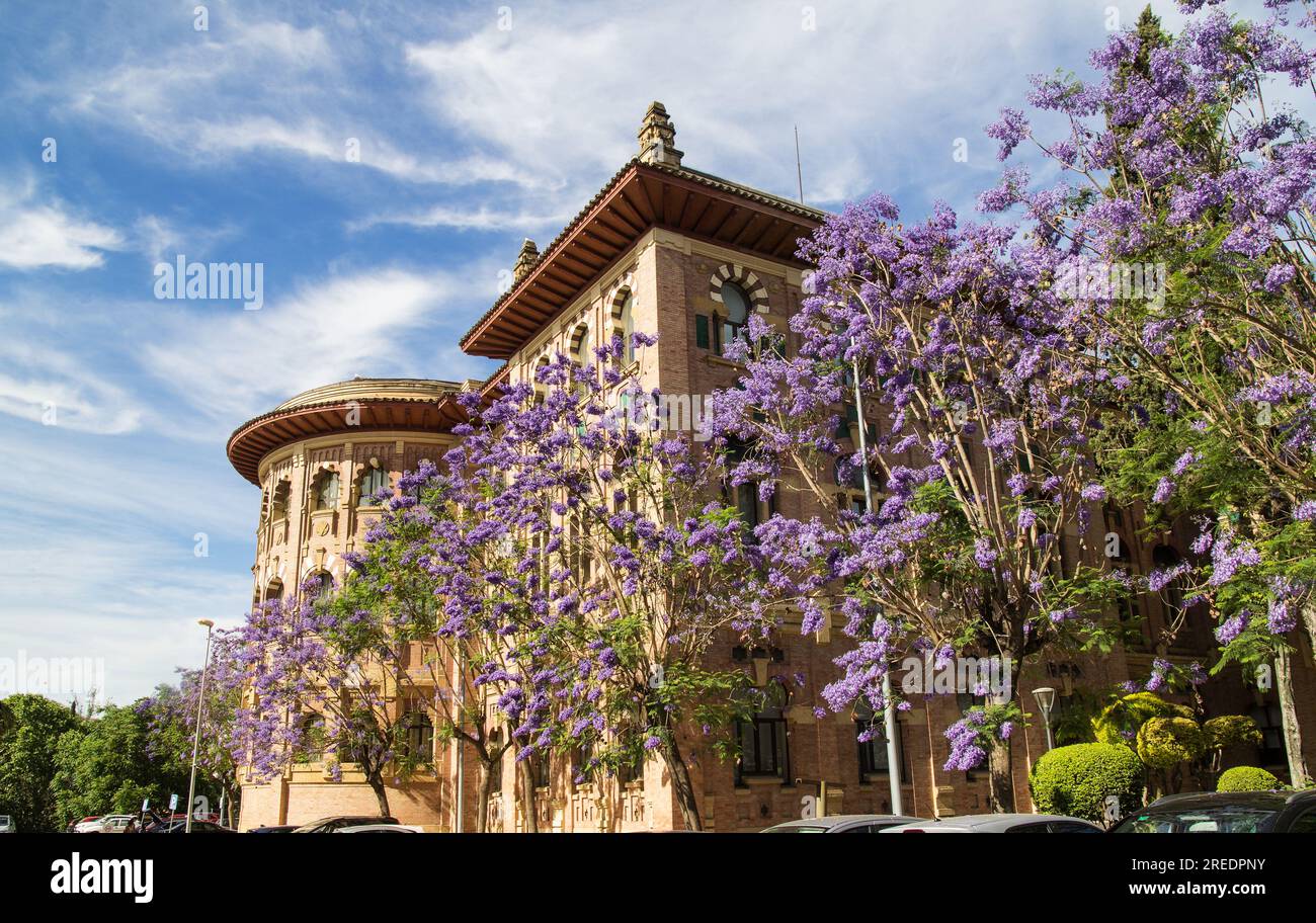 Exterior of the Cordoba University building with beatiful lila ...