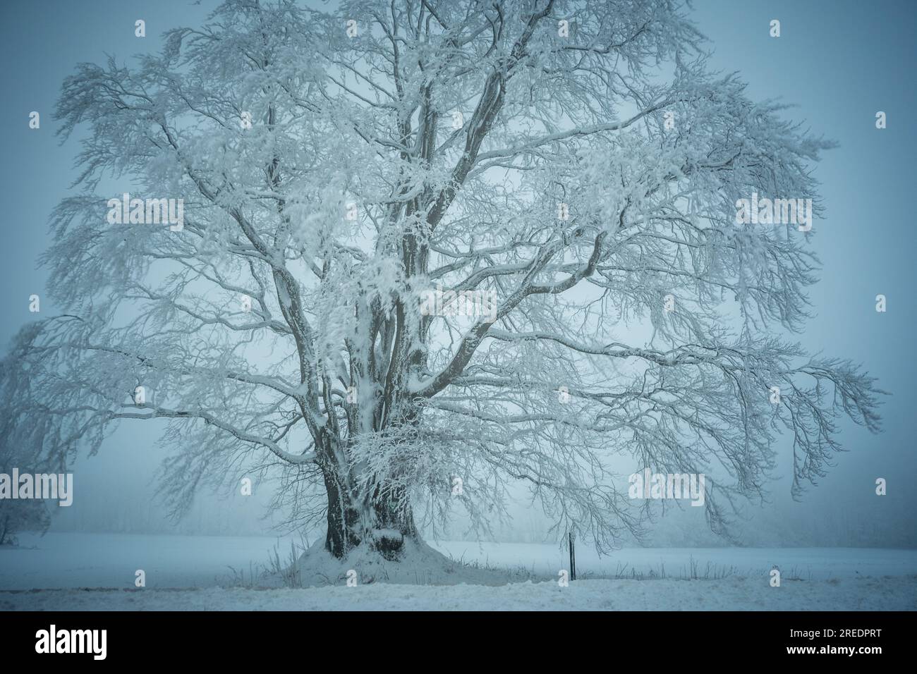 Feldbaum hi-res stock photography and images - Alamy