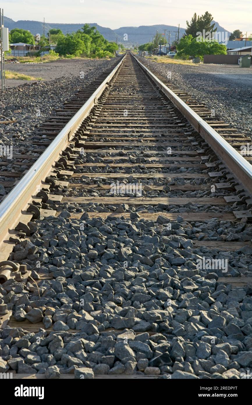 Straight line of railroad tracks into distant mountains in low late ...