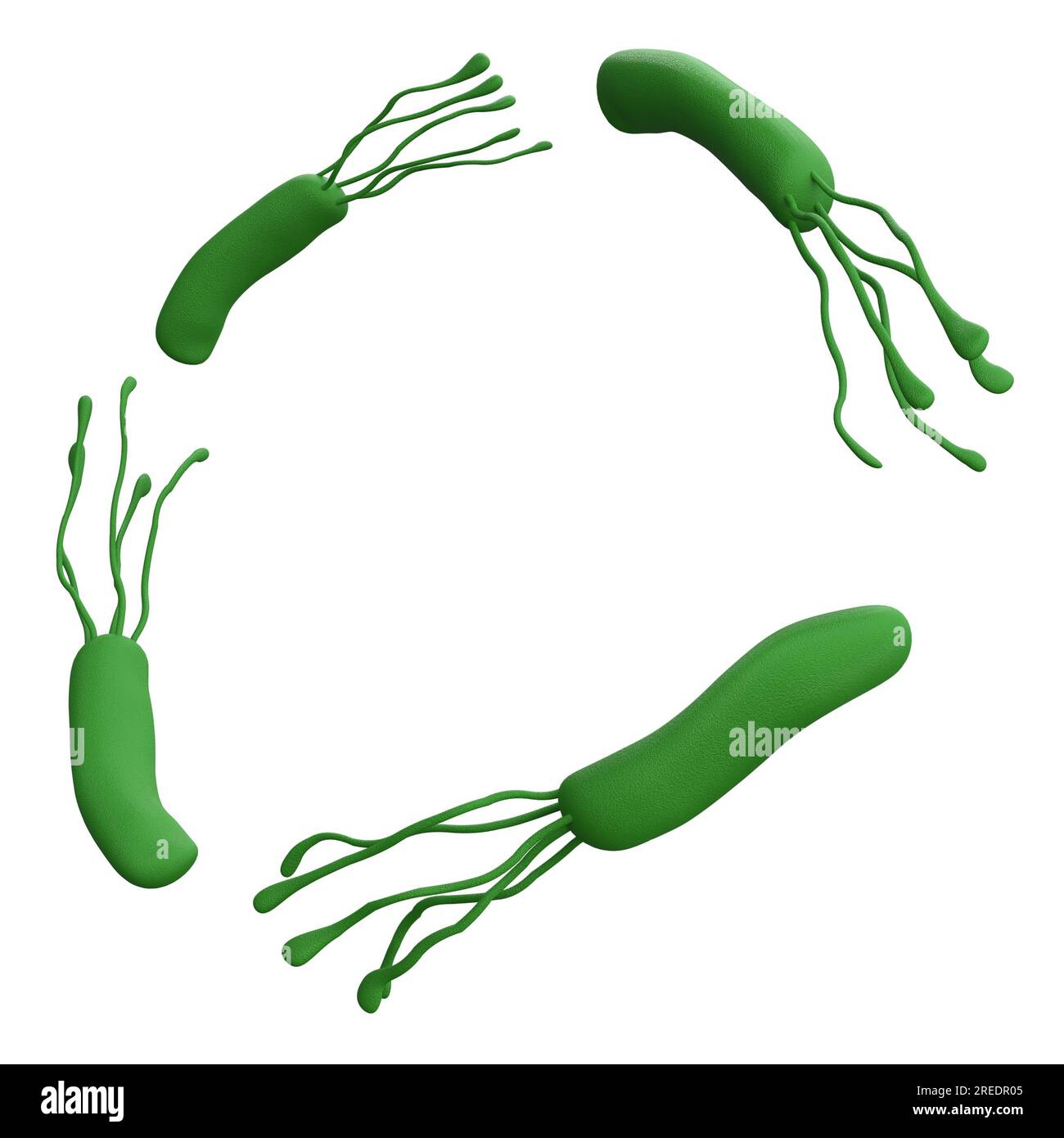 Helicobacter pylori bacteria 3d render realistic frame with place for ...