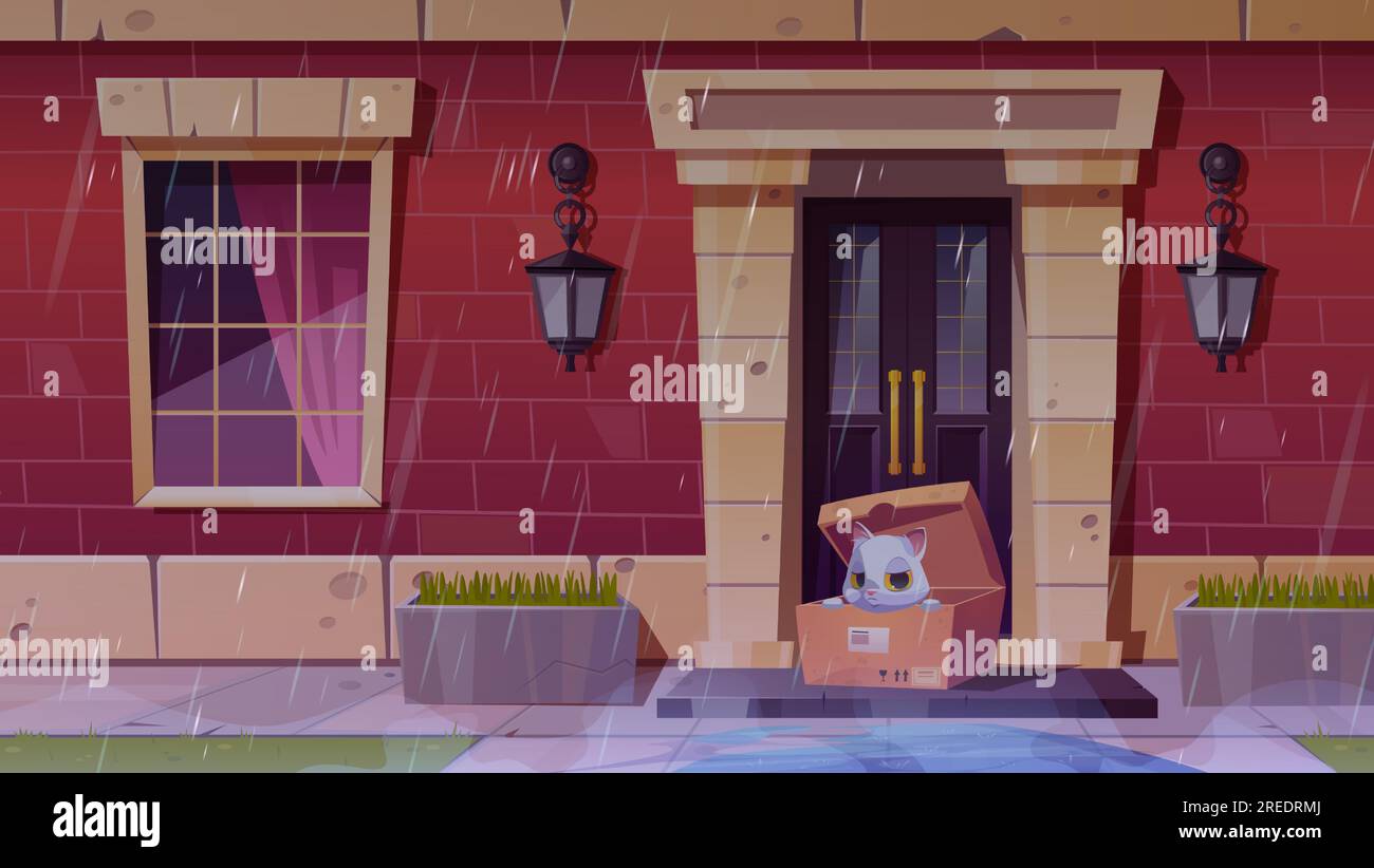 Homeless wet cat sitting in cardboard box on house porch in rainy ...