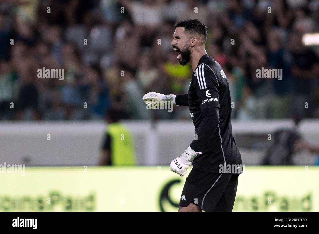 Alfa mega stadium hi-res stock photography and images - Alamy