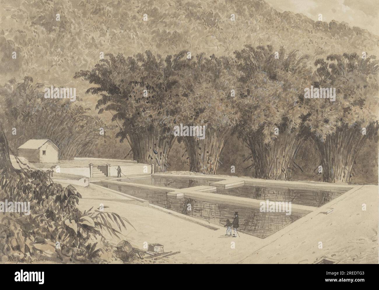 The Reservoir at Maraval 1857 by Michel-Jean Cazabon Stock Photo - Alamy